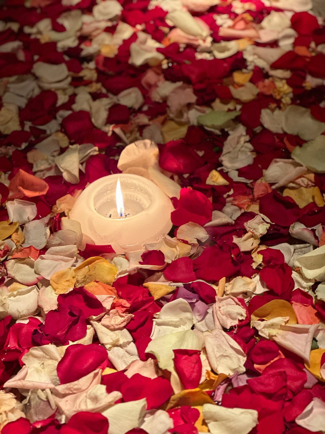 Tao Vegas: Maps, Menus, Prices & Reviews